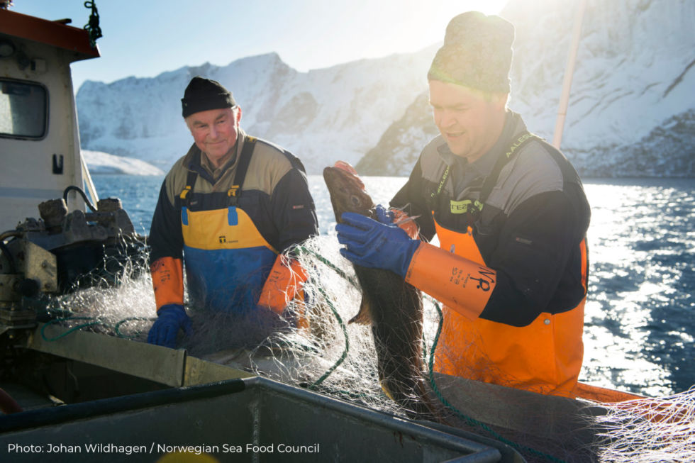 Traceability | Cape Fish Group